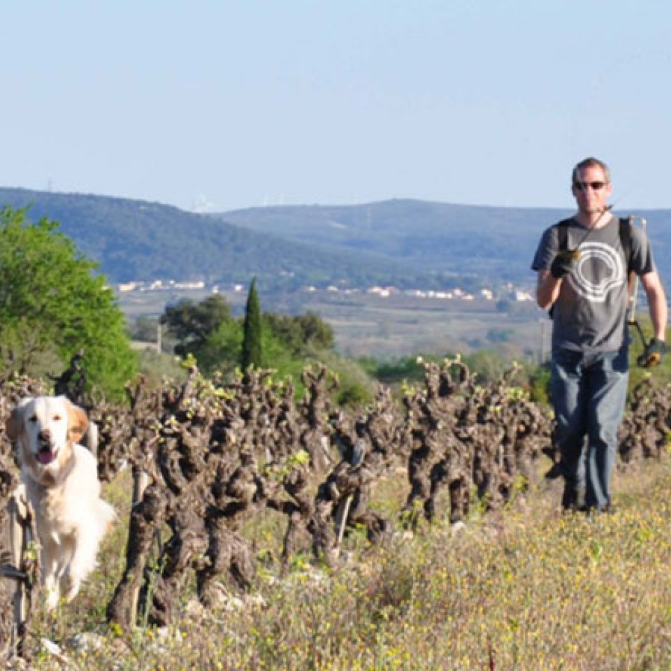 Mas Cal Demoura - Boutique de la Maison des vins du Languedoc