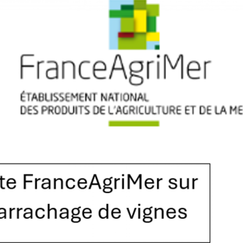 Enquête FRANCEAGRIMER - Syndicat des vins de l'AOC Languedoc